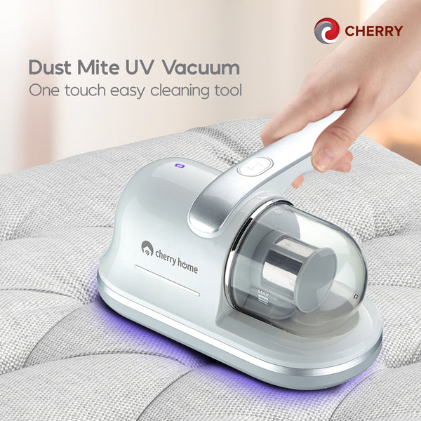 Dust mite vacuum store