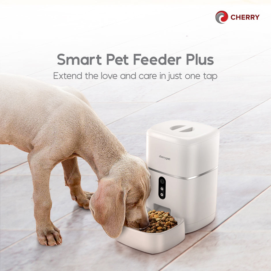 Pet Essentials – Cherry Shop